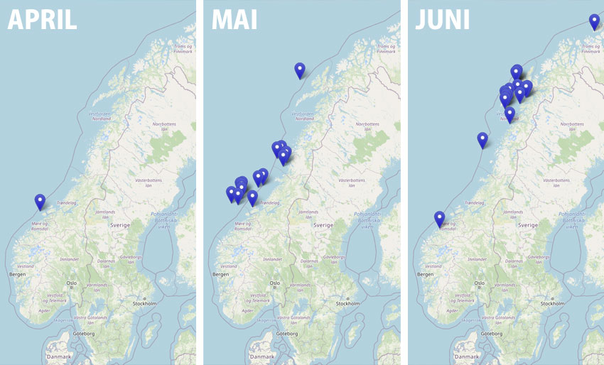 Mye brugde langs kysten