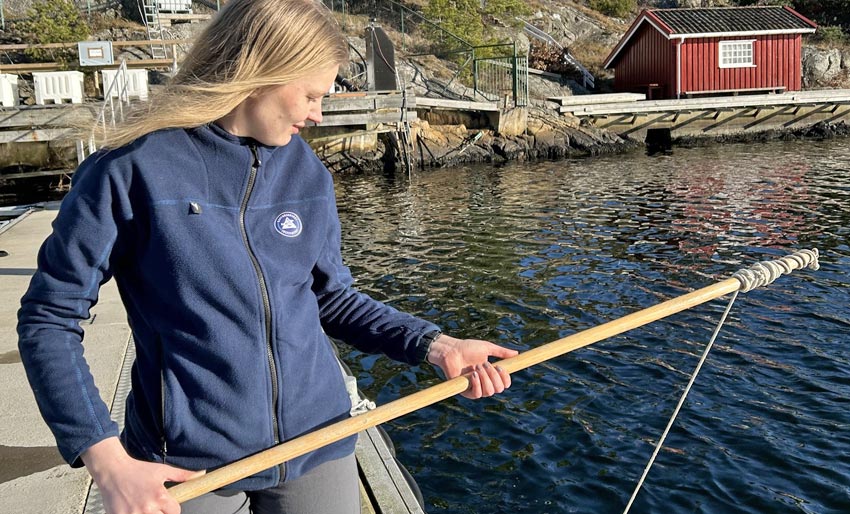 Nå er det vår i havet